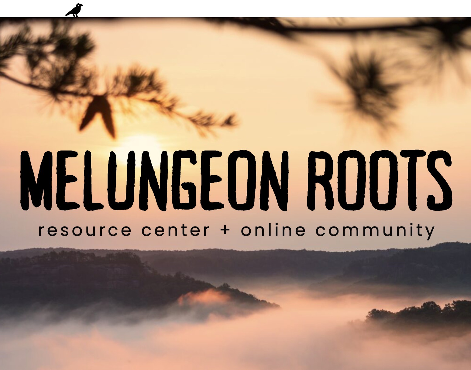 Home - Melungeon Roots